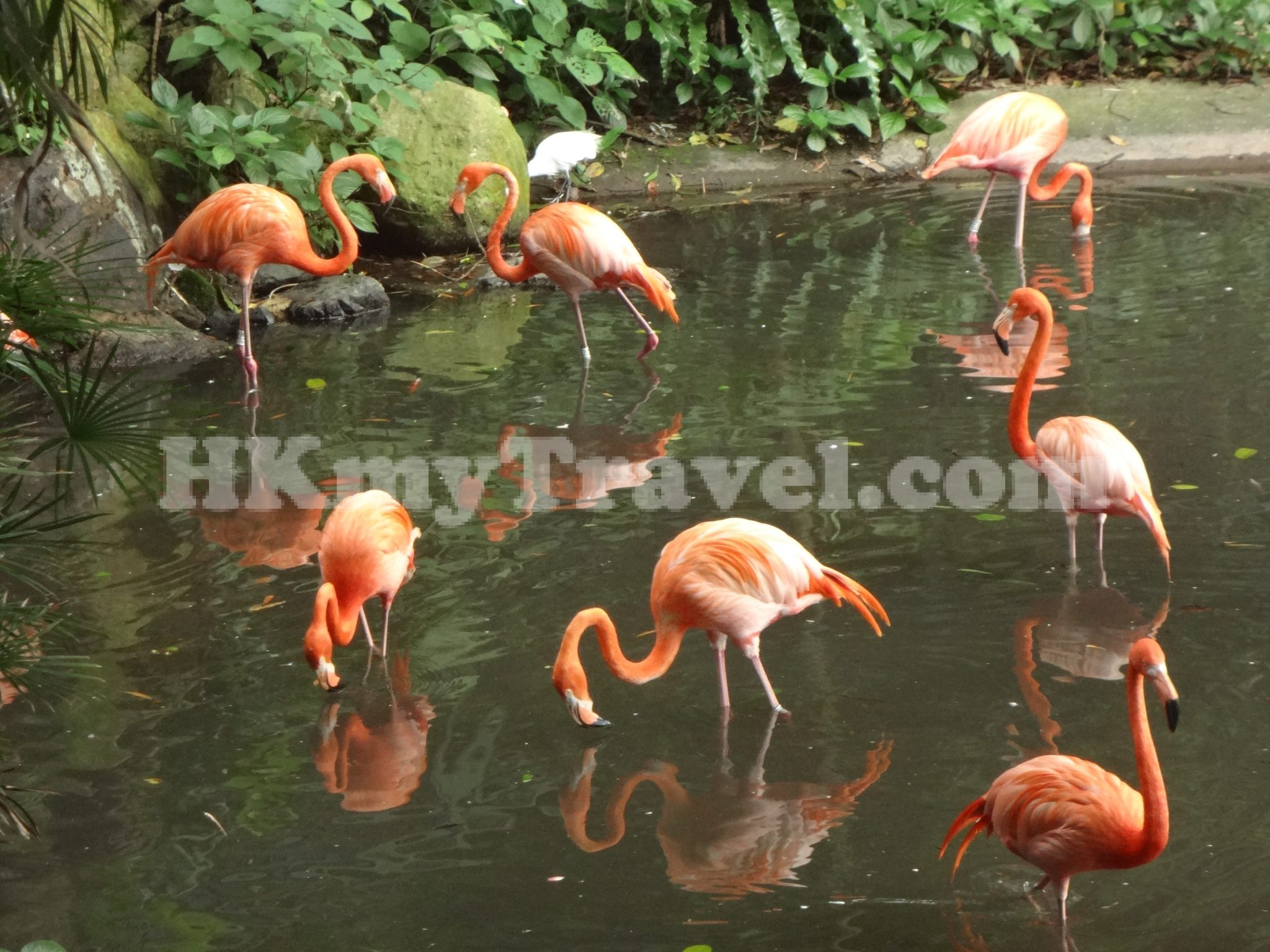 Kadoorie Farm And Botanic Garden in Hong Kong - Complete Visitor Guide ...