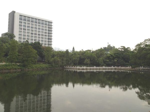 Lake Ad Excellentiam Weiyuan Lake in Hong Kong - Complete Visitor Guide ...