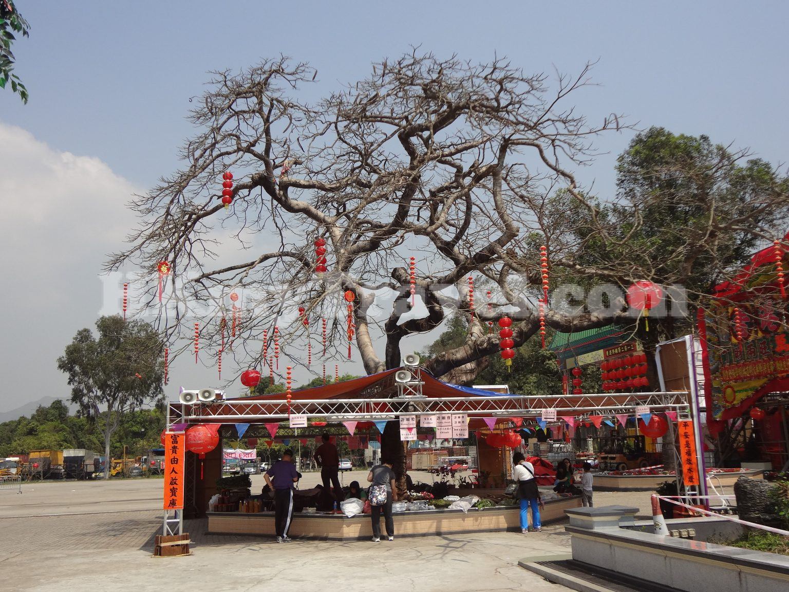 Lam Tsuen Wishing Trees in Hong Kong - Complete Visitor Guide (Location ...