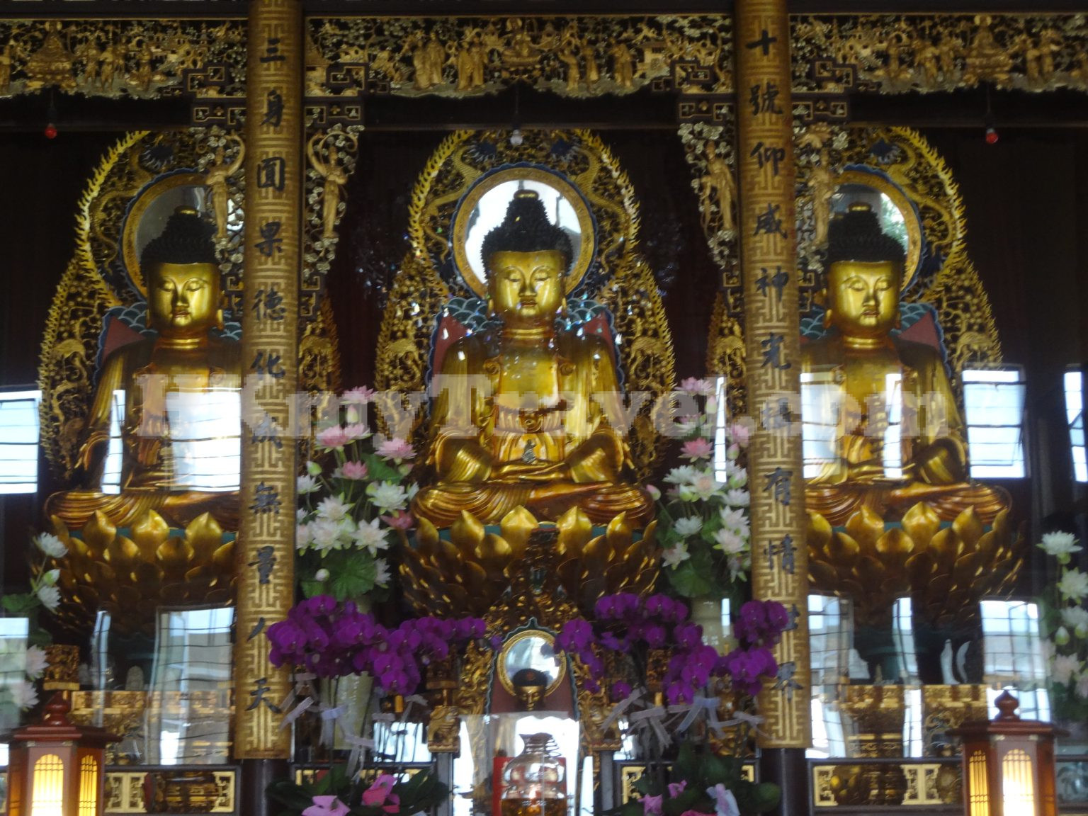 Lo Hon Monastery in Hong Kong - Complete Visitor Guide (Location ...